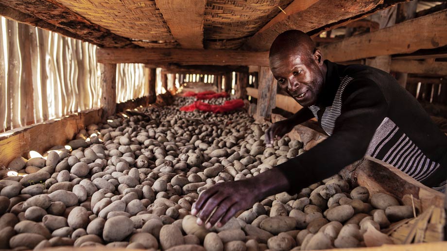 Quality seed banks to fight hunger - CODESPA