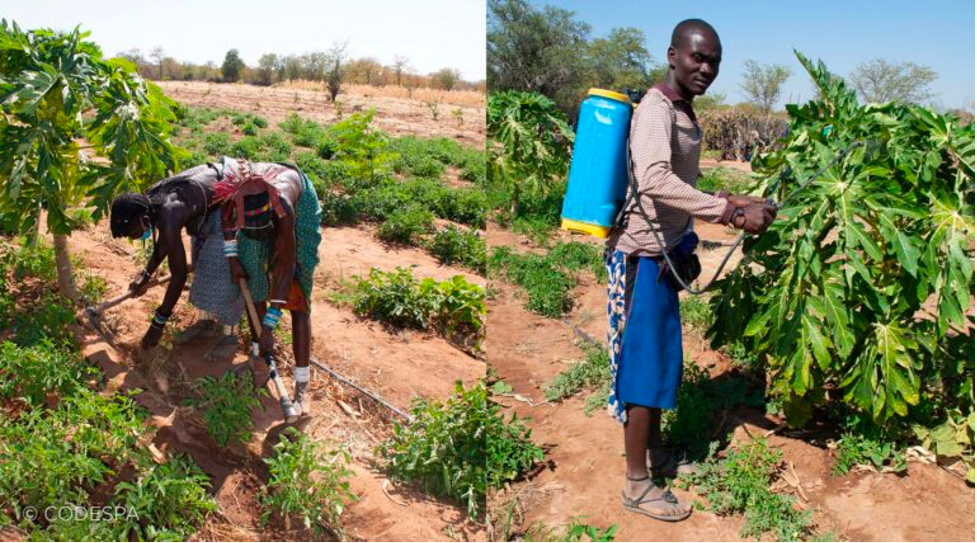 Angola, a country full of hope - CODESPA America